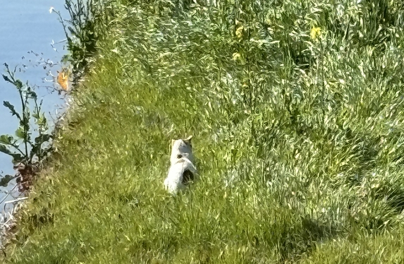 🌸大感謝祭🌸花粉にもおススメセット！