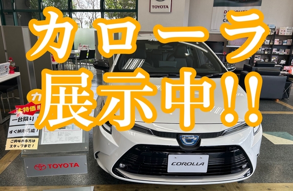 展示車きました🚗